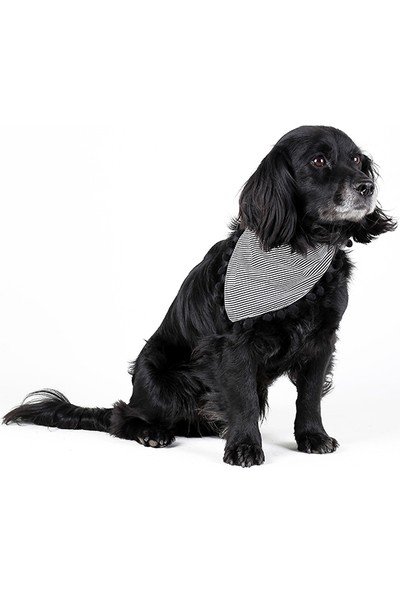 Peti Tailor Ponponlu Ekoseli Köpek Fuları Peti Tailor Ponponlu Ekoseli Köpek Fuları