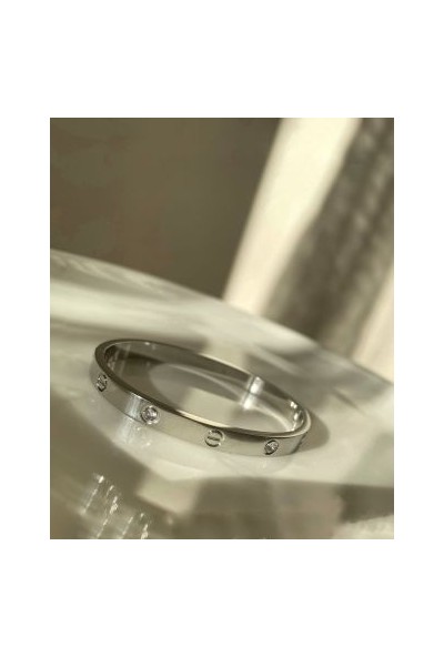 Lavinia Jewelry Zirkon Taşlı Paslanmaz Çelik Cartier Bileklik