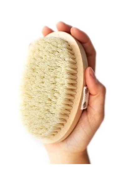 Organik Doğal At Kılı Banyo Fırçası Organik Doğal At Kılı Banyo Fırçası