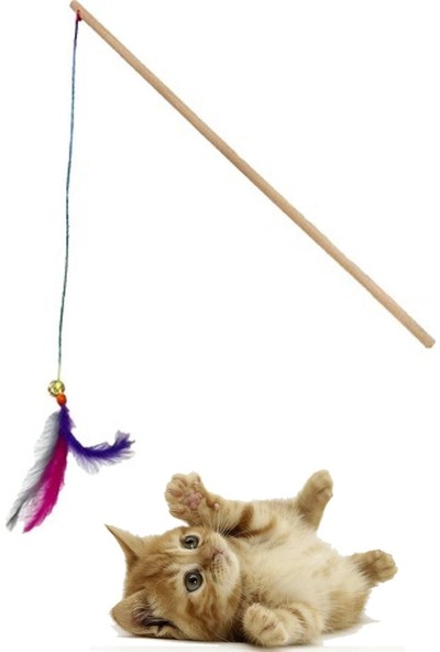Gezeroğlu Petshop Kedi Oyun Oltası Gezeroğlu Petshop Kedi Oyun Oltası