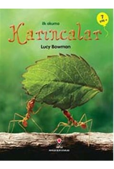 Ilk Okuma - Karıncalar - Lucy Bowman