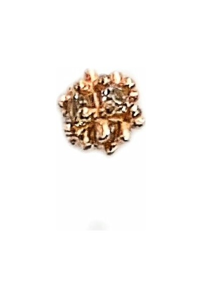 Adore Silver Gümüş Desen Taşlı Piercing