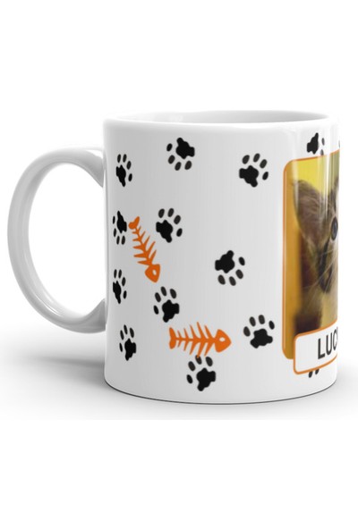 Kişiye Özel Kedi Tasarımlı Isim ve Resim Baskılı Seramik Kupa Bardak