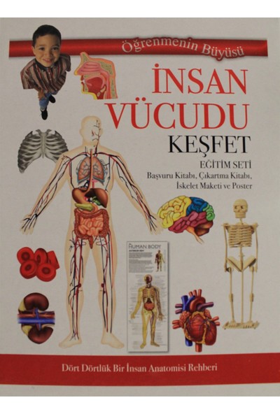 Insan Vücudu Keşfet Eğitim Seti - Kolektif Insan Vücudu Keşfet Eğitim Seti - Kolektif
