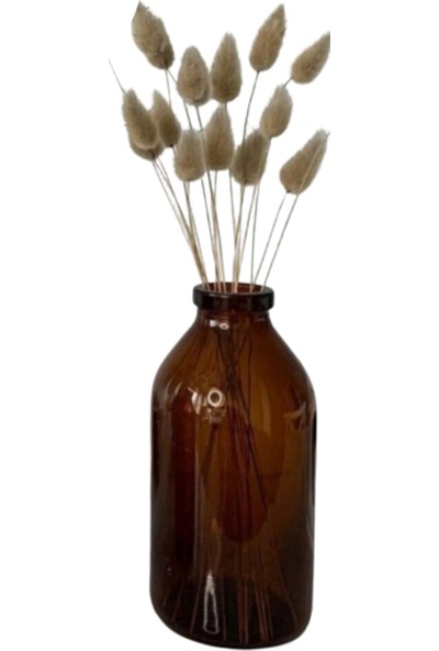 Fems Brown Amber Kahverengi Dekoratif Cam Şişe Vazo Fems Brown Amber Kahverengi Dekoratif Cam Şişe Vazo