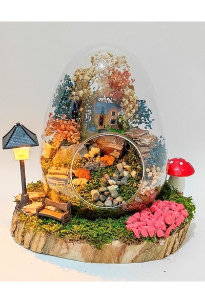 Petunya Teraryumtepedeki Ev Petunya Teraryumtepedeki Ev