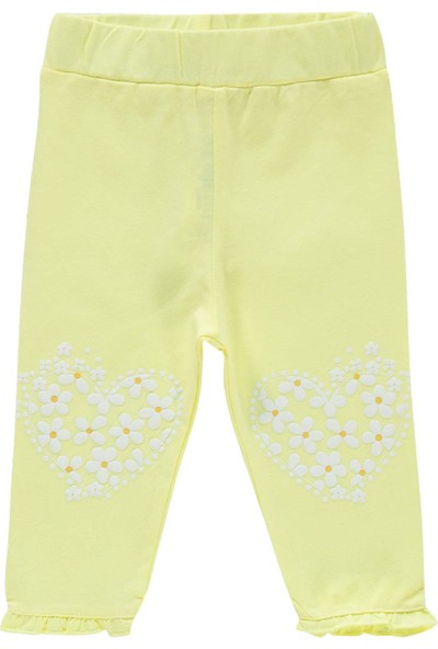 Civil Baby Kız Bebek Tayt 6-18 Ay Sarı Civil Baby Kız Bebek Tayt 6-18 Ay Sarı