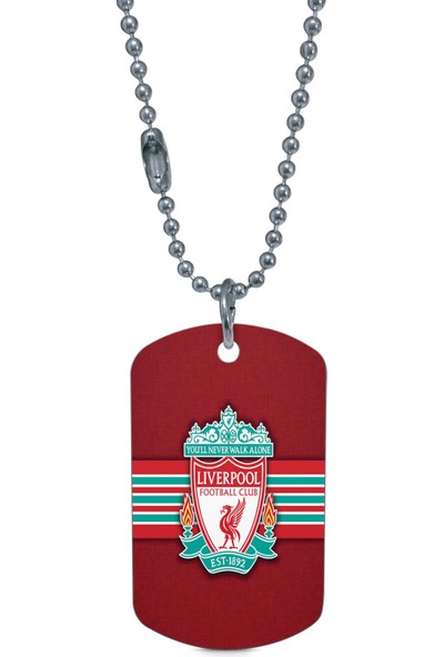 Astak Liverpool Gümüş Renk Kolye DFT4482
