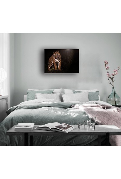 Efor Dijital Işıltılı Göz Vahşi Kaplan Tablo Efor Dijital Işıltılı Göz Vahşi Kaplan Tablo