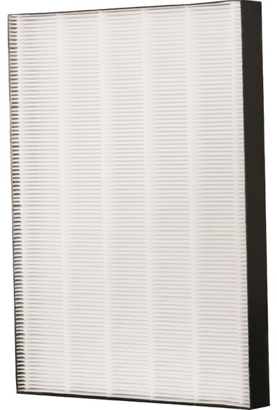 Bissell 2804 AIR320 Hava Temizleyiciye Özel Hepa ve Ön Filtre