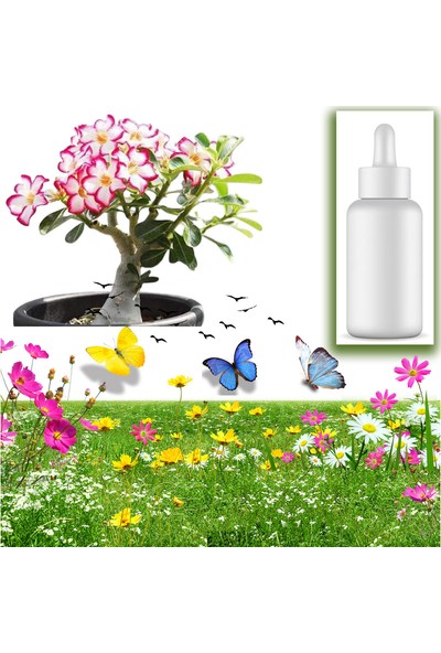 Koku Esansı Desert Rose 10 cc Koku Esansı Desert Rose 10 cc