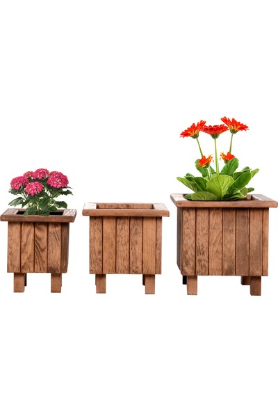 Woodingo Ahşap Dekoratif 3'lü Ceviz Renk Kare Saksı Seti Woodingo Ahşap Dekoratif 3'lü Ceviz Renk Kare Saksı Seti