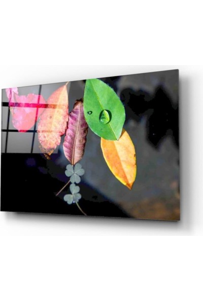 Renkli Yapraklar Cam Tablo 6 50 x 70 cm Renkli Yapraklar Cam Tablo 6 50 x 70 cm