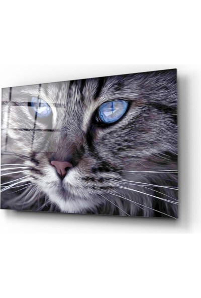 Kedi Cam Tablo 50 x 70 cm Kedi Cam Tablo 50 x 70 cm