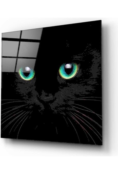 Kedi Cam Tablo Kedi Cam Tablo