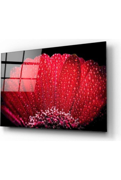 Kırmızı Çiçek Cam Tablo 50 x 70 cm