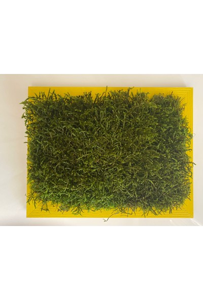 Ocean Moss Yosun Tasarım Tablo