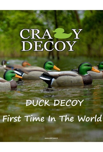 Crazy Decoy Yeşilbaş Ördek Mühre 8 Li Takım 4 Dişi 4 Erkek Crazy Decoy Yeşilbaş Ördek Mühre 8 Li Takım 4 Dişi 4 Erkek