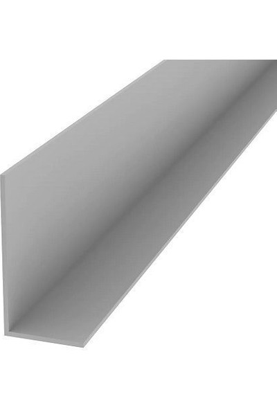 ALM Alüminyum Market 20X40 Köşebent Profili Er 1747 Eloksal Mat 3 Metre ALM Alüminyum Market 20X40 Köşebent Profili Er 1747 Eloksal Mat 3 Metre