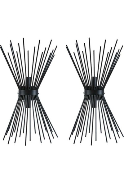 Biotronik Kirpi Siyah Takım 2 Li Aplik (2 Adet)