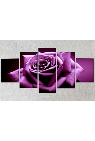 Kılıçin Kanvas Tablo - 75X150 cm - 5 Parça - 5PCT20 Kılıçin Kanvas Tablo - 75X150 cm - 5 Parça - 5PCT20