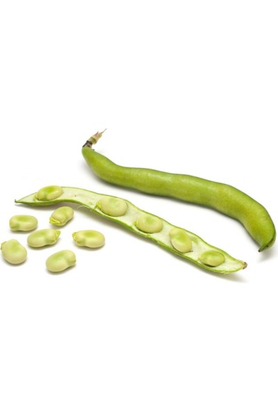 Atabars Bakla Tohumu 100 Adet Atabars Bakla Tohumu 100 Adet