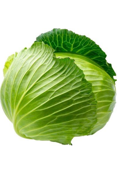 Atabars Beyaz Lahana Tohumu 100 Adet