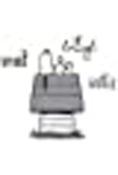 Charge Kuzular & Ivy Classic Snoopy - Woodstock & Köpek Evi Siyah/gri Duvar Çıkartmaları Charge Kuzular & Ivy Classic Snoopy - Woodstock & Köpek Evi Siyah/gri Duvar Çıkartmaları