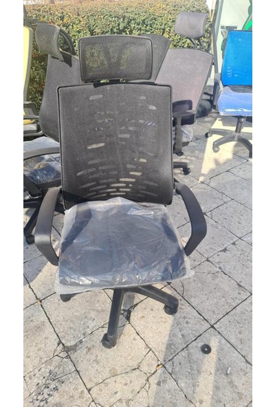 Asel Polen Müdür Koltuk