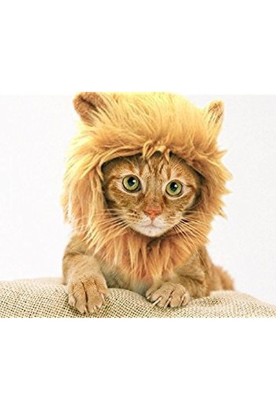 OEM Kedi Aslan Yelesi Peruk