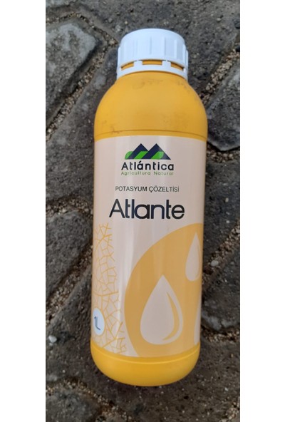 Atlantica Atlante 1 Lt