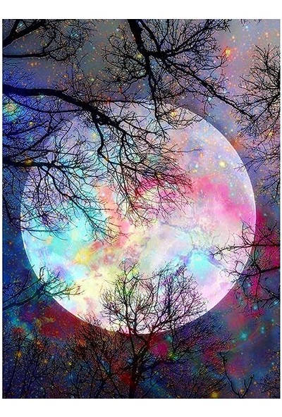 Hobi Tedarik Harika Dolunay Çerçeveli 40X50 Sayılarla Boyama Hobi Seti