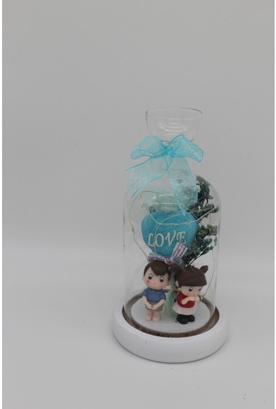 Işıklı Kalpli Cam Fanus