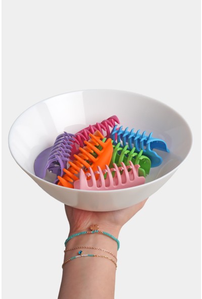 Kadın Pembe 6'lı Rengarenk Mandal Toka Seti