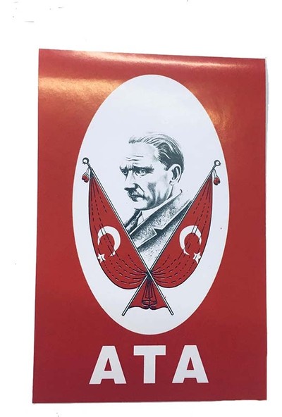 Orta Ipli Kağıt Ata Türk Bayrağı - 40 Adet - 13 x 8cm