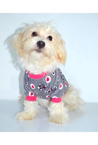 Dogi & Dog Dogi Polar Sweat Köpek Elbisesi
