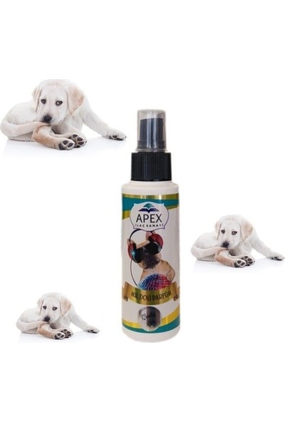 Andis Apex Erkek Köpek Parfümü 100 Ml