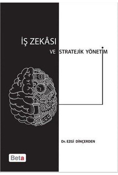 İş Zekası ve Stratejik Yönetim - Ezgi Dinçerden