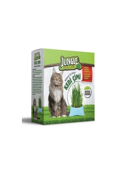 Jungle Kedi Çimi