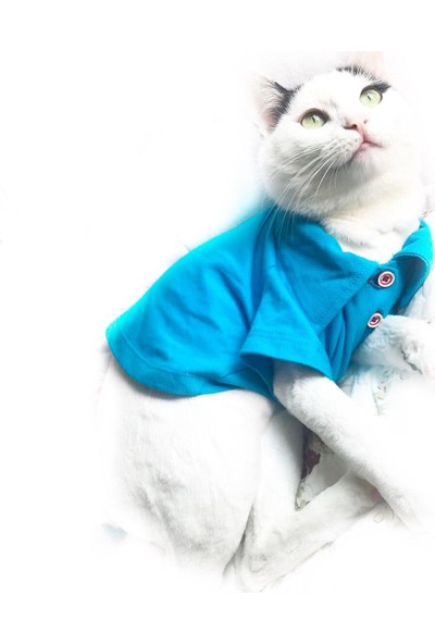 Kemique Mavi Polo Yaka Tişört By Kedi Elbisesi