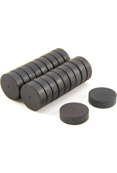 Hobi24 100 Adet Yuvarlak Mıknatıs 18Mm