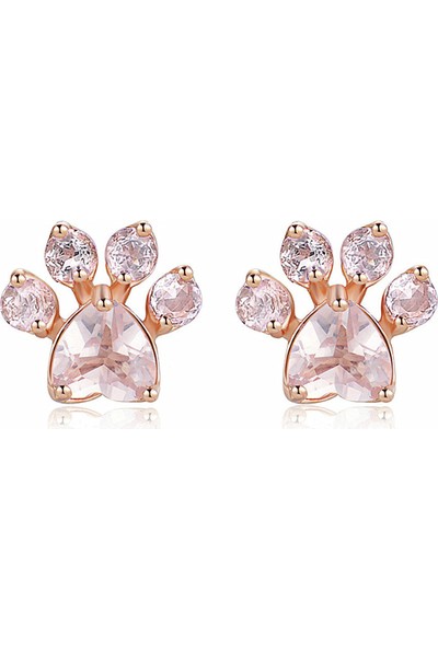 Chavin Motifli Beyaz Tek Taş Çelik Bayan Erkek Küpe Df09 Chavin Motifli Beyaz Tek Taş Çelik Bayan Erkek Küpe Df09