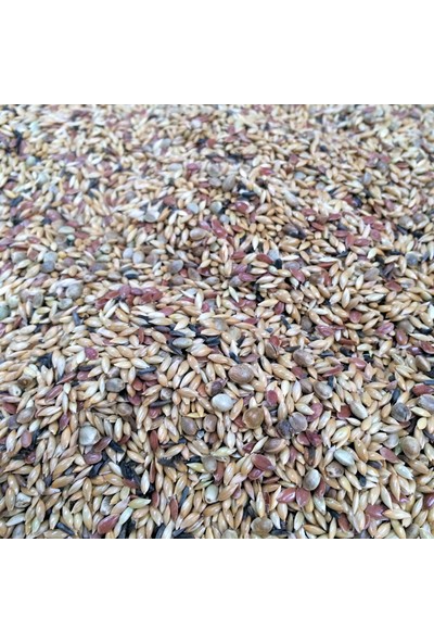 AslımlarKanarya Yemi 1 kg