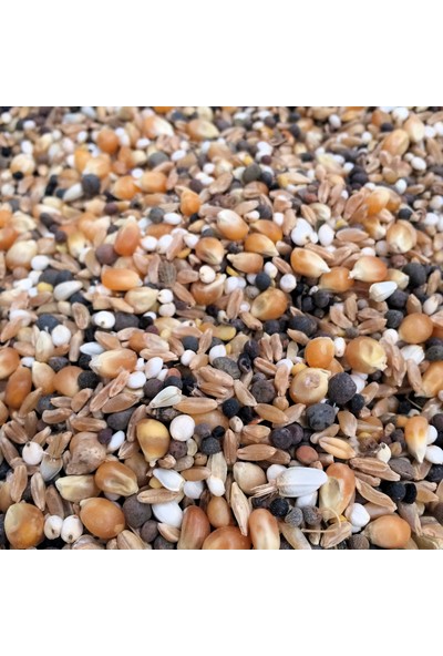 AslimlarGüvercin Yemi 25 kg