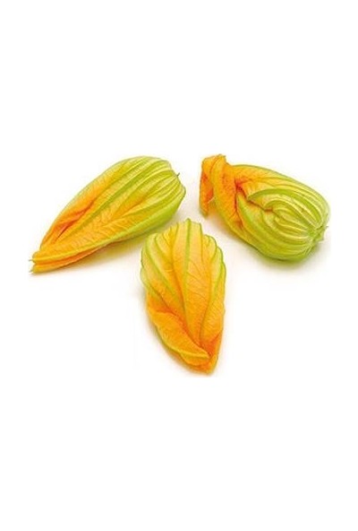 Mutlu Sebzeler Kabak Çiçeği (Yenilebilir Çiçek/1 Paket) Mutlu Sebzeler Kabak Çiçeği (Yenilebilir Çiçek/1 Paket)