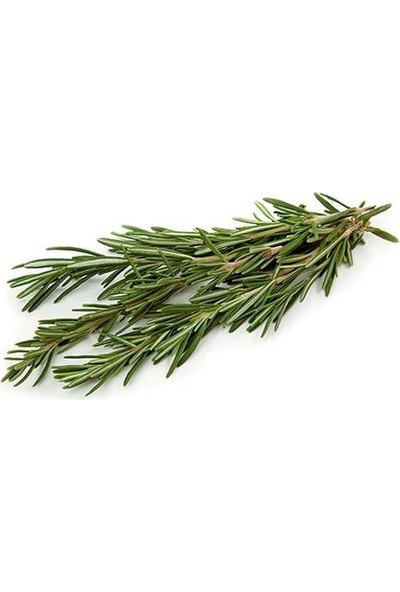 Mutlu Sebzeler Rozmarin (Biberiye) 25gr'lık 1 paket