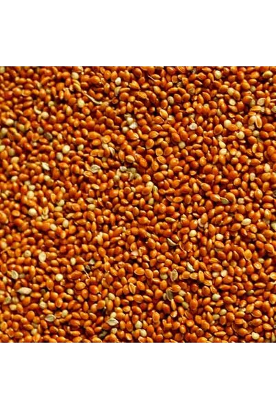 Aslımlar Kırmızı Darı 20 kg Kuş Yemi