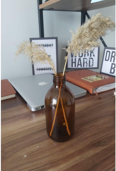 Lofty Amber Cam Şişe Vazo 300 ml Ortam Dekor Lofty Amber Cam Şişe Vazo 300 ml Ortam Dekor