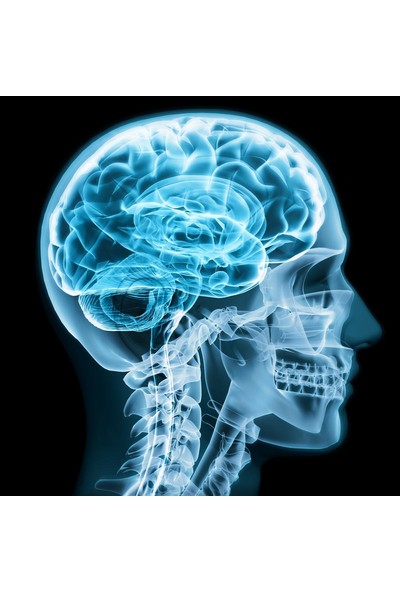 Eğitim Kutusu Bilinçaltı Temizliği Eğitimi