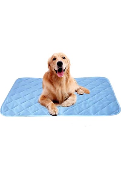 Pet Home 50x40cm Evcil Hayvalar İçin Soğutucu Mat - Mavi (Yurt Dışından)